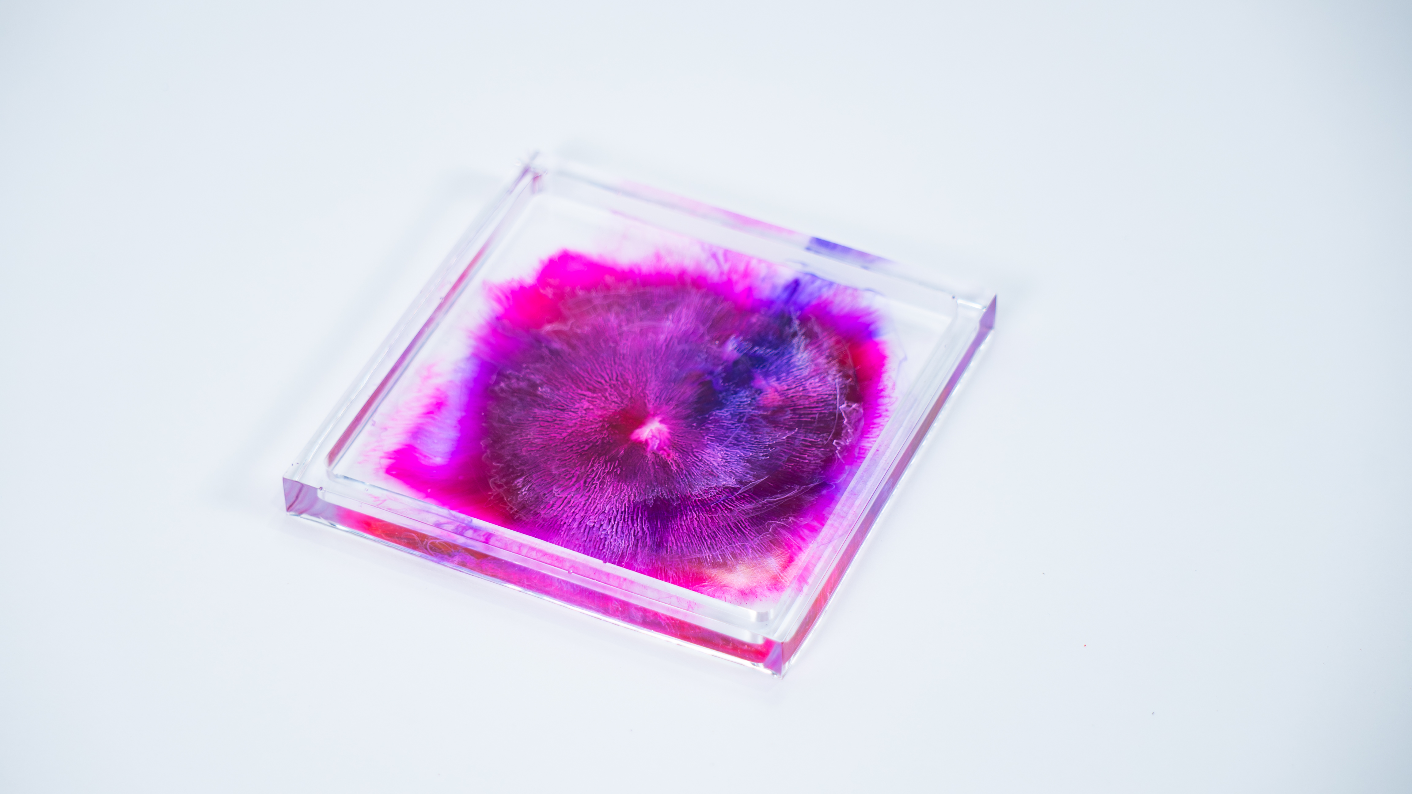 How to make epoxy coasters – TotalBoat